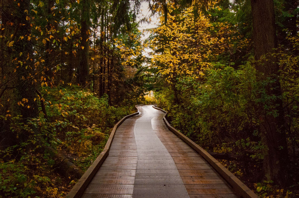 Find Comfort: Your Fall Wellness Hygge Guide — Hygge Box