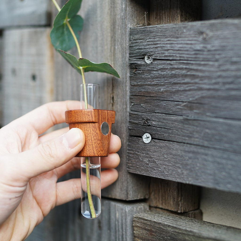Smart Tube Vase Combo — Hygge Box